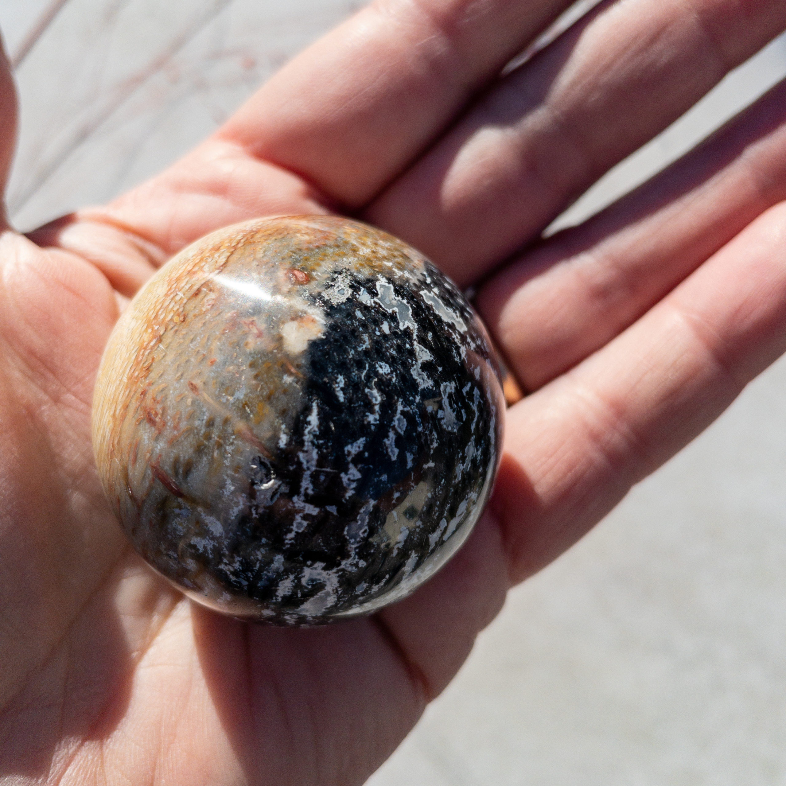 förstenad palmrot klot ökad visdom kontakt med tidigare liv